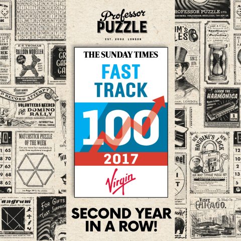 Metal & Wooden Puzzles | Professor Puzzle