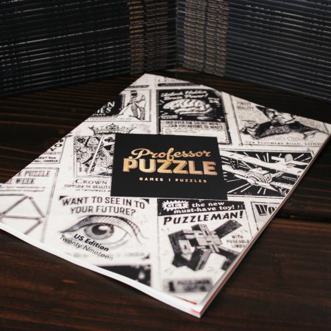 Metal & Wooden Puzzles | Professor Puzzle